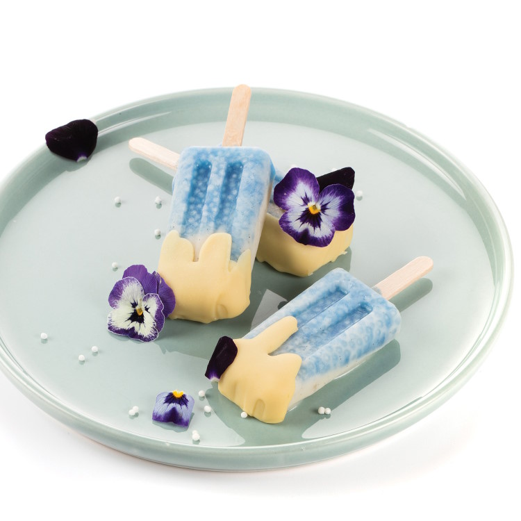 Eisform ⇒ DIY-Eisgenuss für Zuhause